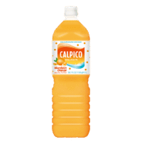 CALPICO® Mandarin orange | 50.7 FL OZ PET (1500ml) | Asahi Beverages America